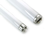 Long Life Fluorescent Light Bulbs – Bulborama