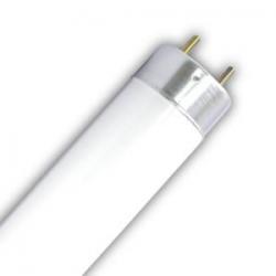 F28T8/950/40 INDUSTRIAL GRADE FO28/950/40 FLUORESCENT BULB – Bulborama