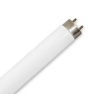 F10T8/D DAYLIGHT INDUSTRIAL GRADE FLUORESCENT BULB – Bulborama